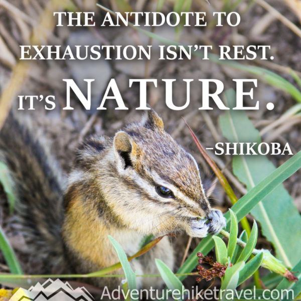 30 Inspirational Sayings and Quotes about Nature - Adventure Hike Travel