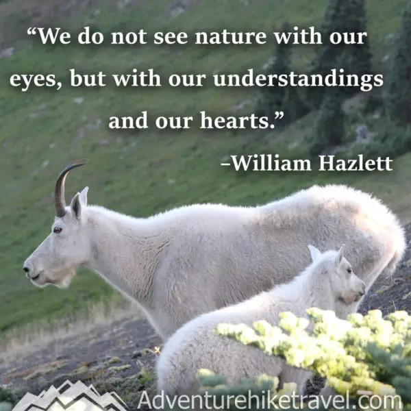 30 Inspirational Sayings and Quotes about Nature - Adventure Hike Travel