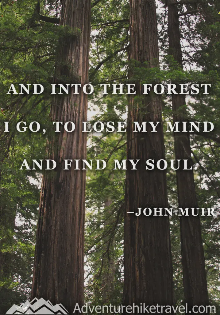 25 JOHN MUIR QUOTES TO INSPIRE WANDERLUST - Adventure Hike Travel