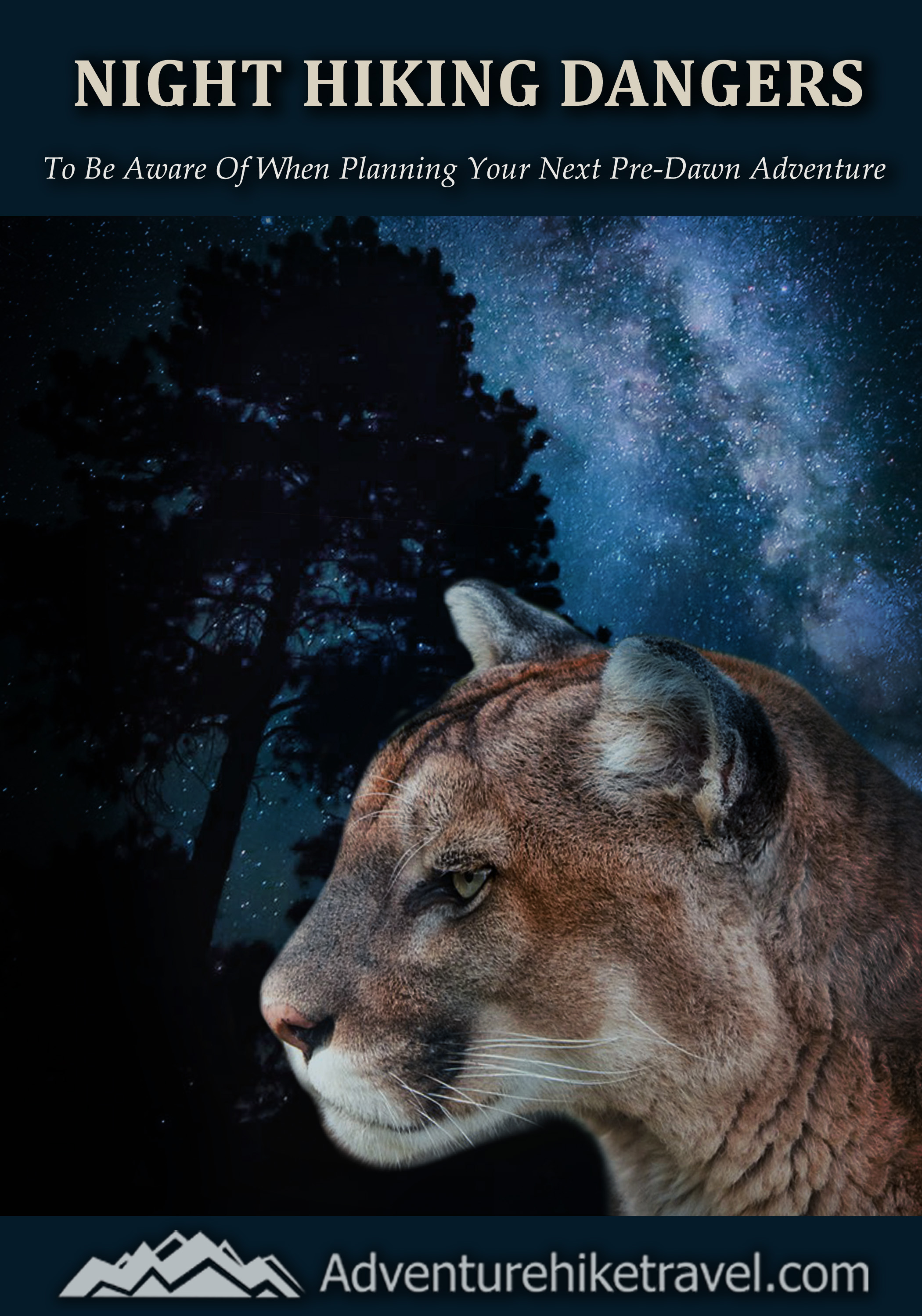 Night Hiking Dangers To Be Aware Of When Planning Your Next Pre-Dawn ...