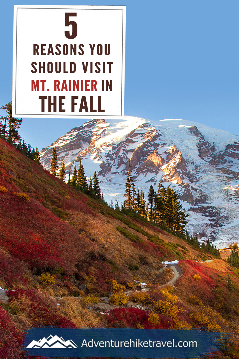 5 Reasons You Should Visit Mt. Rainier in the Fall - Adventure Hike Travel