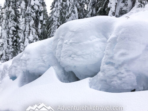 Snowshoeing the Scenic Skyline Lake Trail in Washington State ...