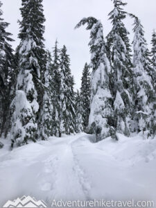 Snowshoeing the Scenic Skyline Lake Trail in Washington State ...