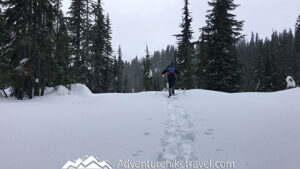 Snowshoeing the Scenic Skyline Lake Trail in Washington State ...