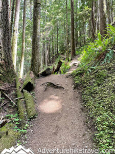 The Ultimate Guide to Backpacking to Lake Angeles in Olympic National ...