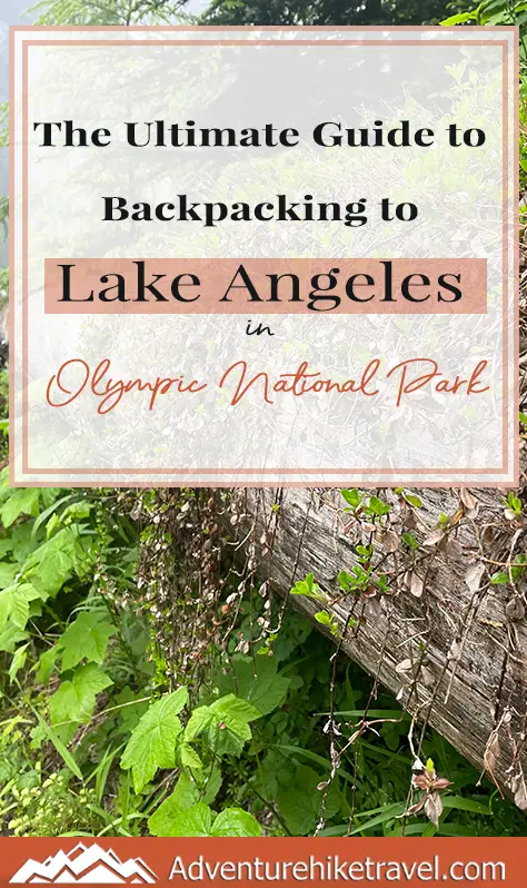 The Ultimate Guide to Backpacking to Lake Angeles in Olympic National ...