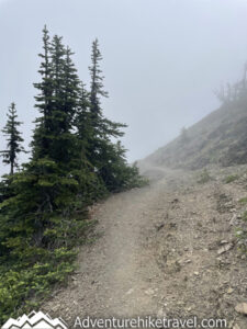 Hiking to Maiden Peak from Deer Park in Olympic National Park ...