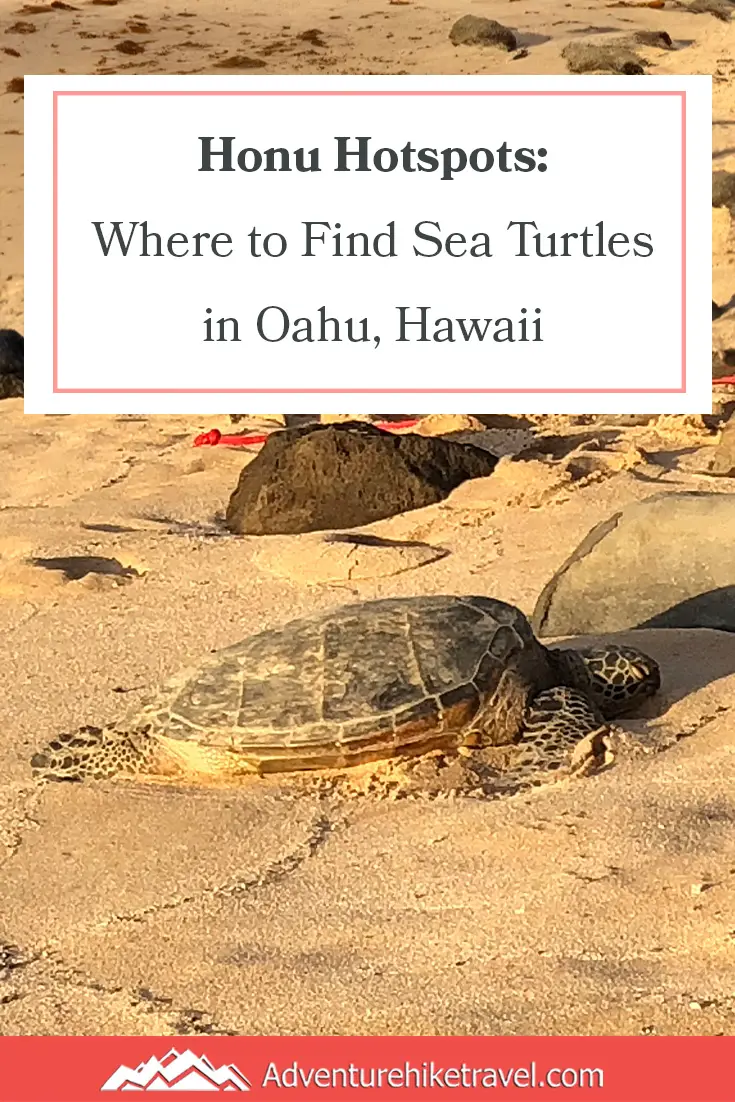 Honu Hotspots: Where to Find Sea Turtles in Oahu, Hawaii - Adventure ...
